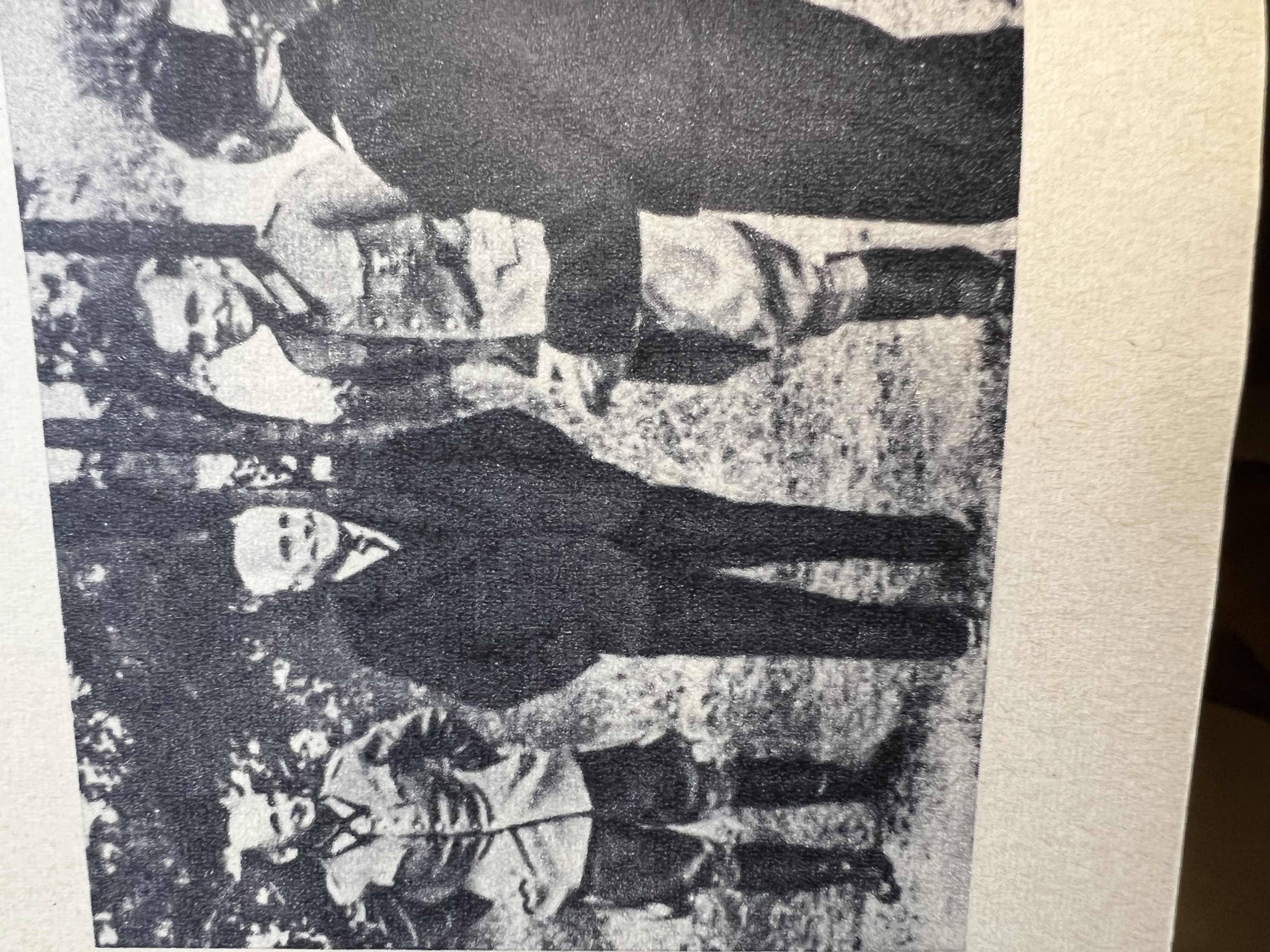 Friedrich Paulus - Generalfeldmarschall